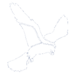 | Falconbrook Primary School